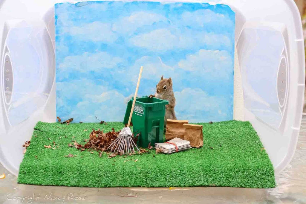 Secret Life Of Squirrels | Mr. Peanuts and Friends