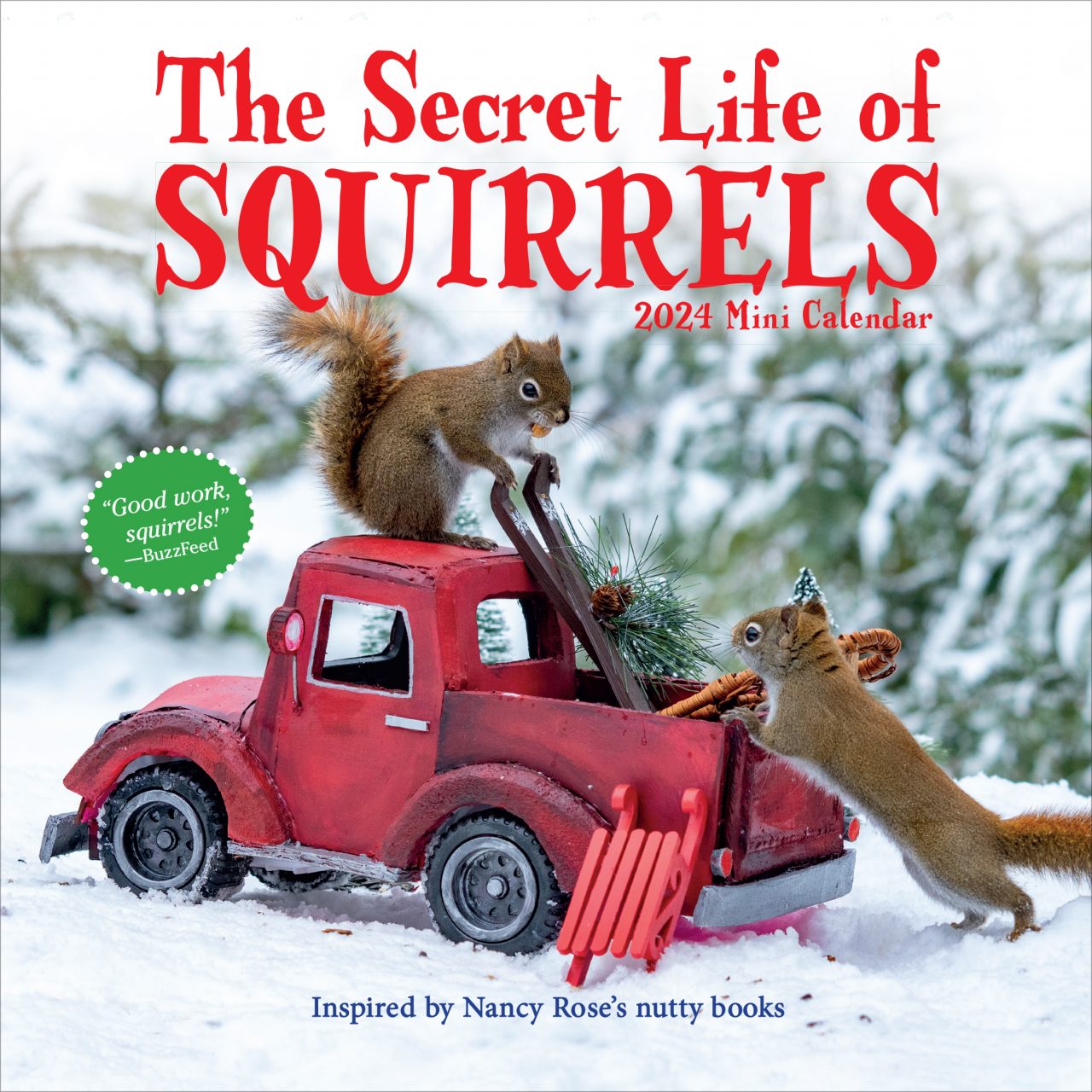 Secret Life Of Squirrels | Mr. Peanuts and Friends